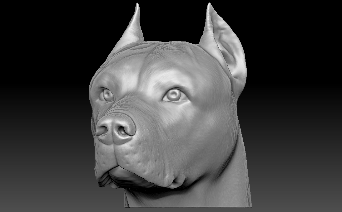 3D file Pitbull head for 3D printing 🐂 ・3D printer model to download・Cults