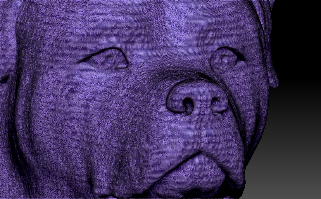 3D file Rottweiler head for 3D printing 🐂・3D printing template to ...