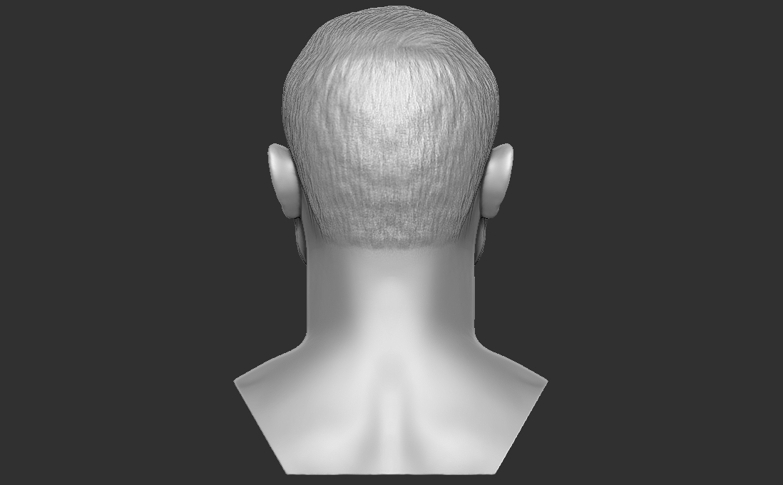 STL file Canelo Alvarez bust for 3D printing 👤 (OBJ)・Template to ...