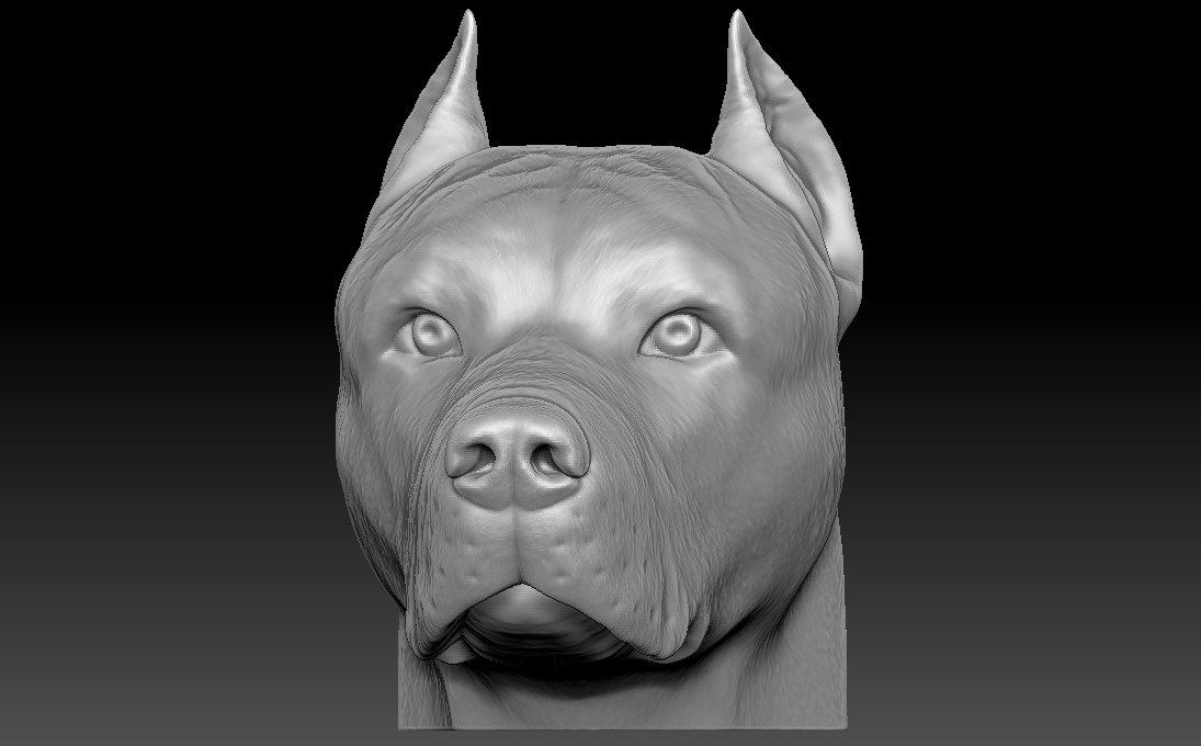 3D file Pitbull head for 3D printing 🐂 ・3D printer model to download・Cults