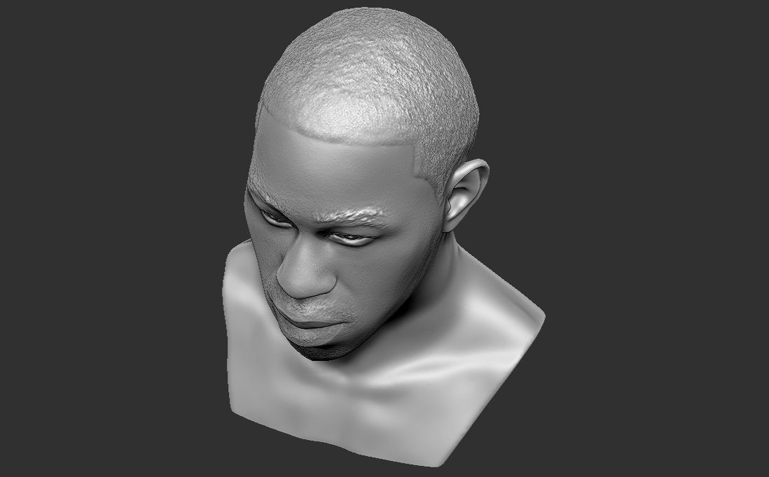 arquivo STL Tyler The Creator bust for 3D printing 👤 (OBJ)・design de ...