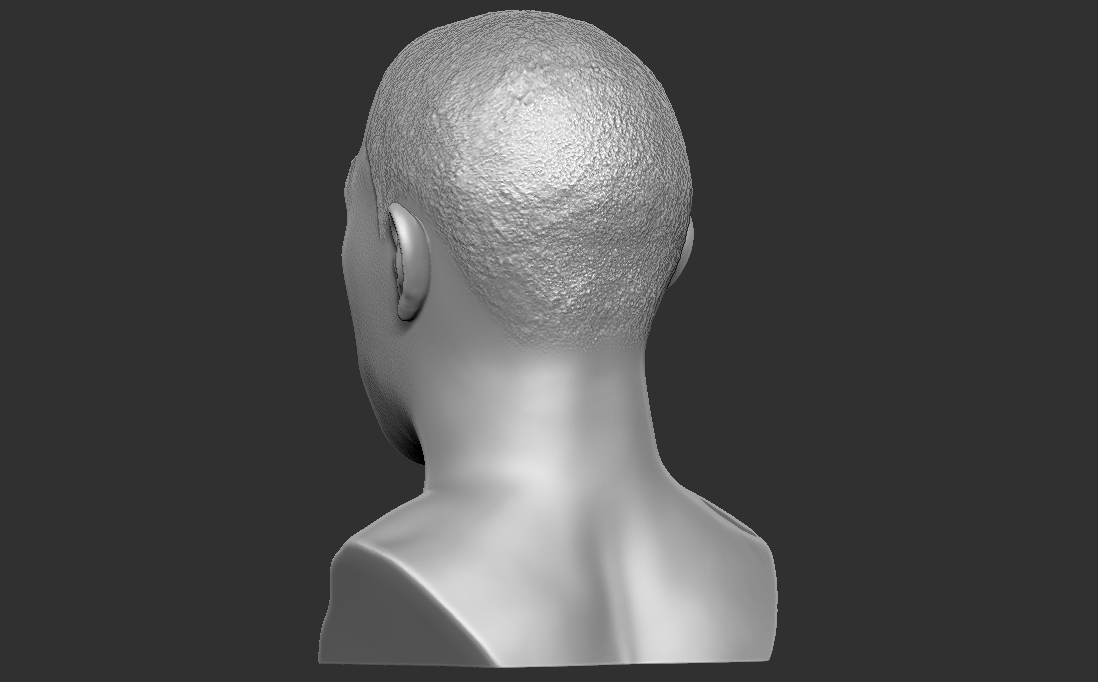 arquivo STL Tyler The Creator bust for 3D printing 👤 (OBJ)・design de ...