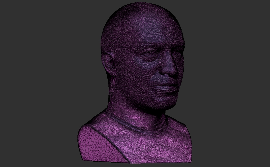 OBJ file Joe Rogan bust for 3D printing 👤 ・3D print design to download ...
