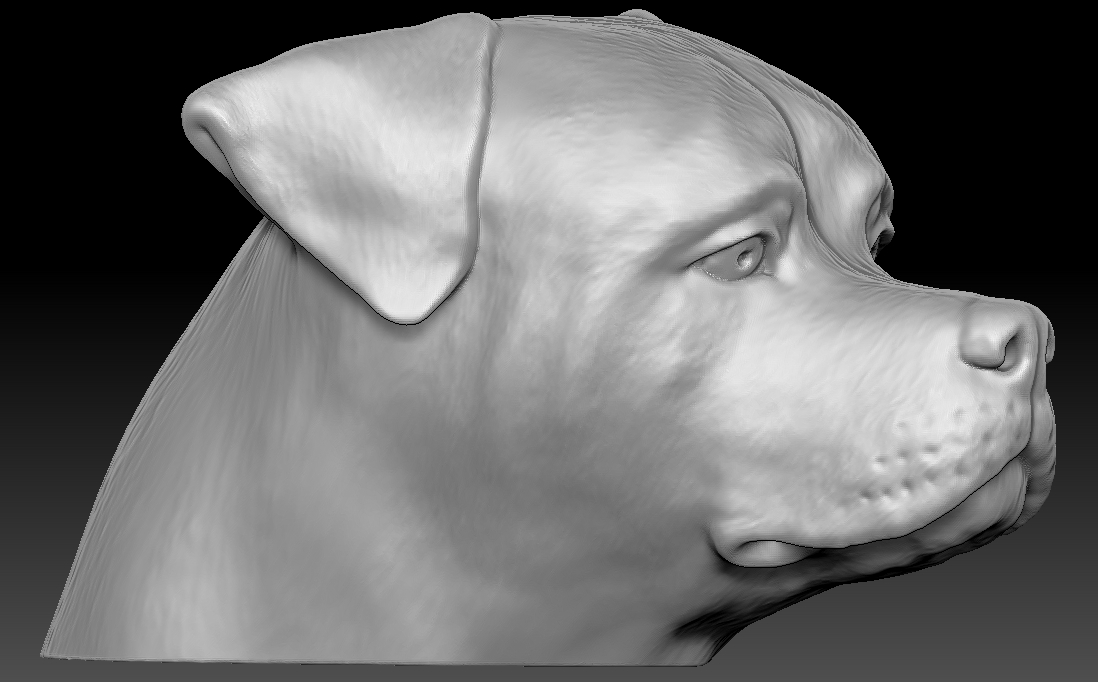 3D file Rottweiler head for 3D printing 🐂・3D printing template to ...