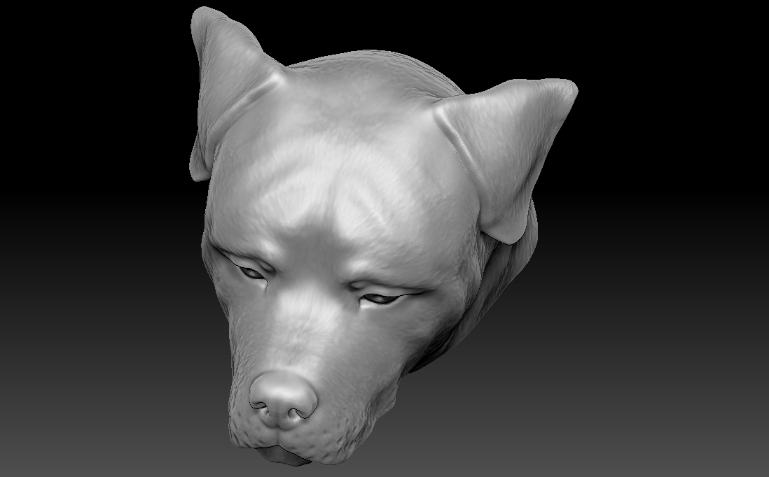 3D file Rottweiler head for 3D printing 🐂・3D printing template to ...