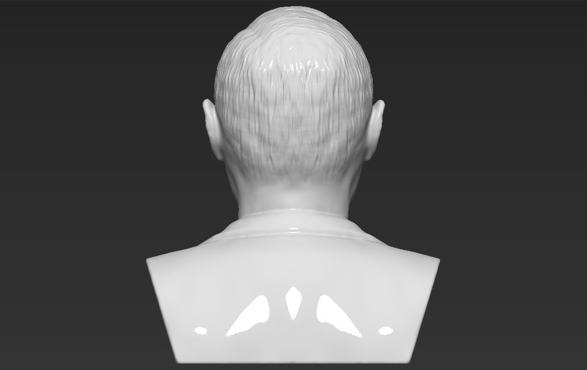 Fichier STL Vladimir Poutine buste impression 3D prêt stl obj 🗿 ・Modèle ...