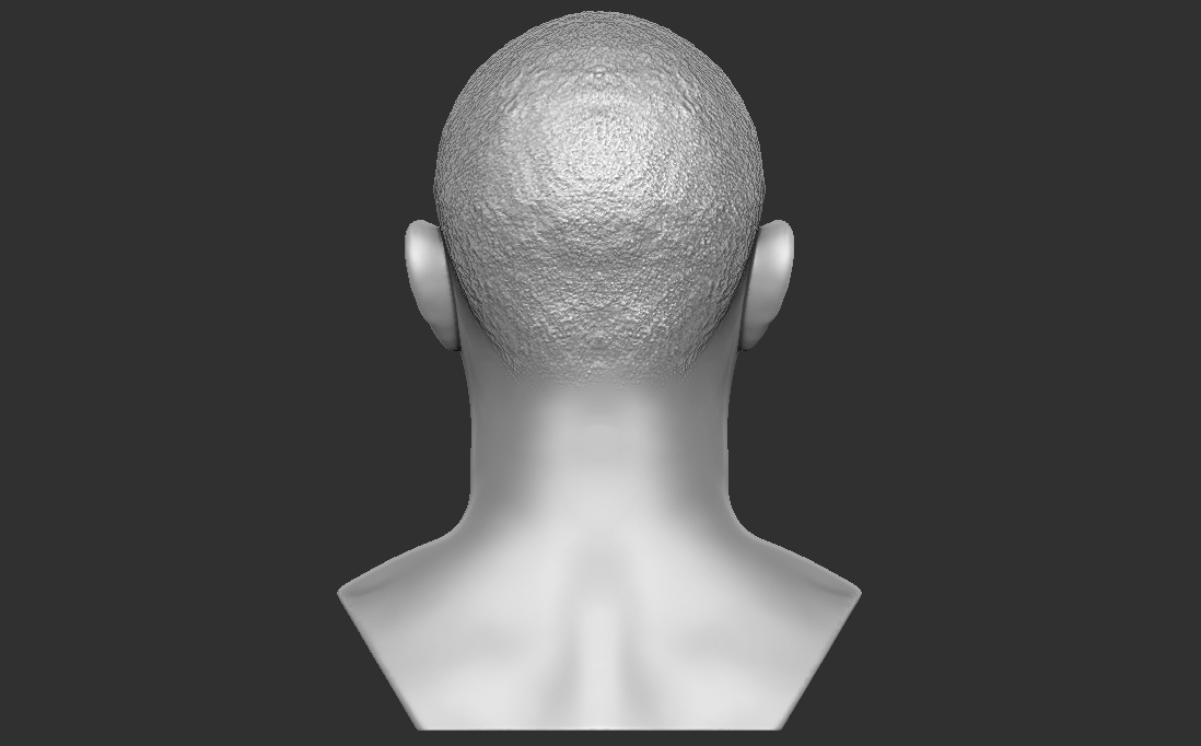 arquivo STL Tyler The Creator bust for 3D printing 👤 (OBJ)・design de ...