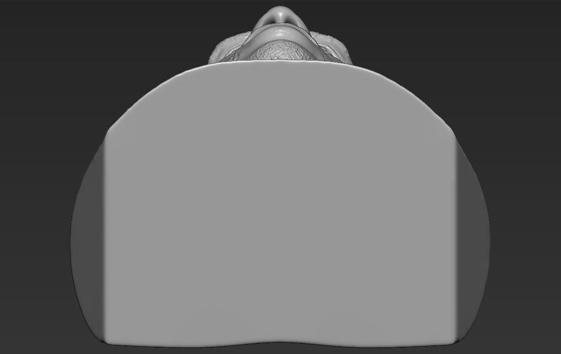 STL file Shaq ONeal bust 3D printing ready stl obj 👤 ・3D printer model ...