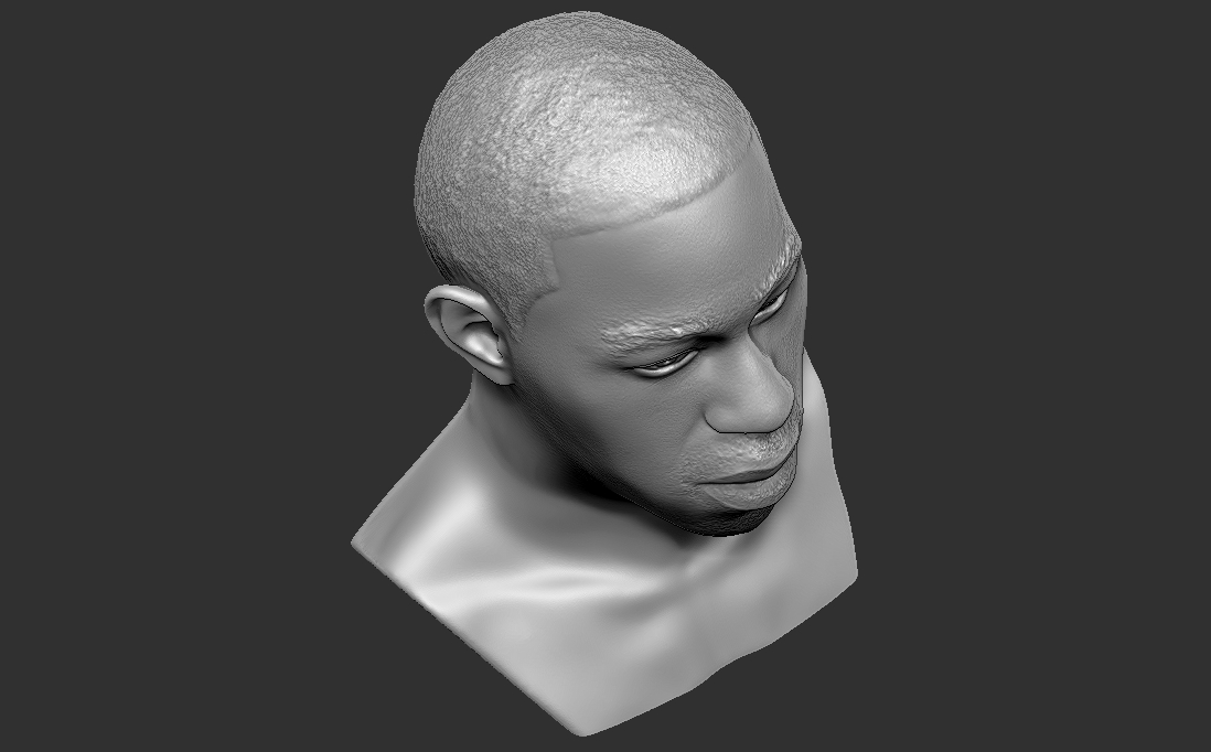 arquivo STL Tyler The Creator bust for 3D printing 👤 (OBJ)・design de ...