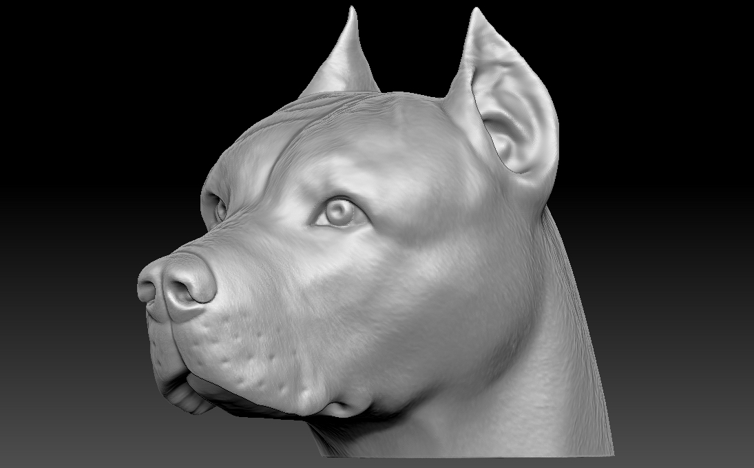 3D file Pitbull head for 3D printing 🐂 ・3D printer model to download・Cults