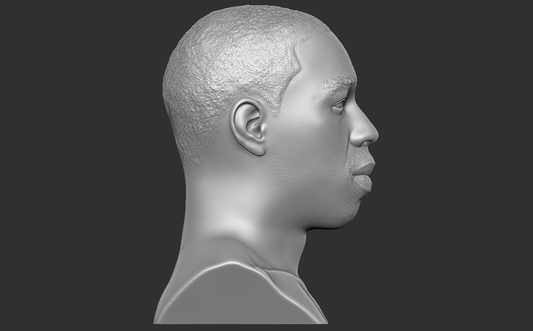 arquivo STL Tyler The Creator bust for 3D printing 👤 (OBJ)・design de ...