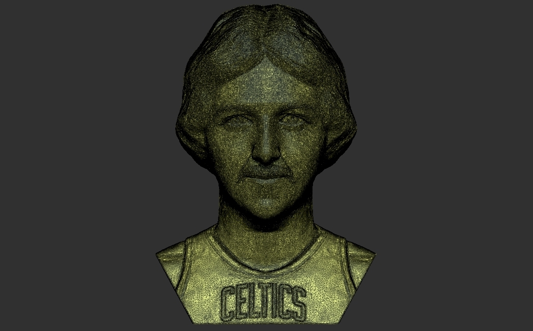 3D file Larry Bird bust 3D printing ready stl obj formats 🐦・3D ...