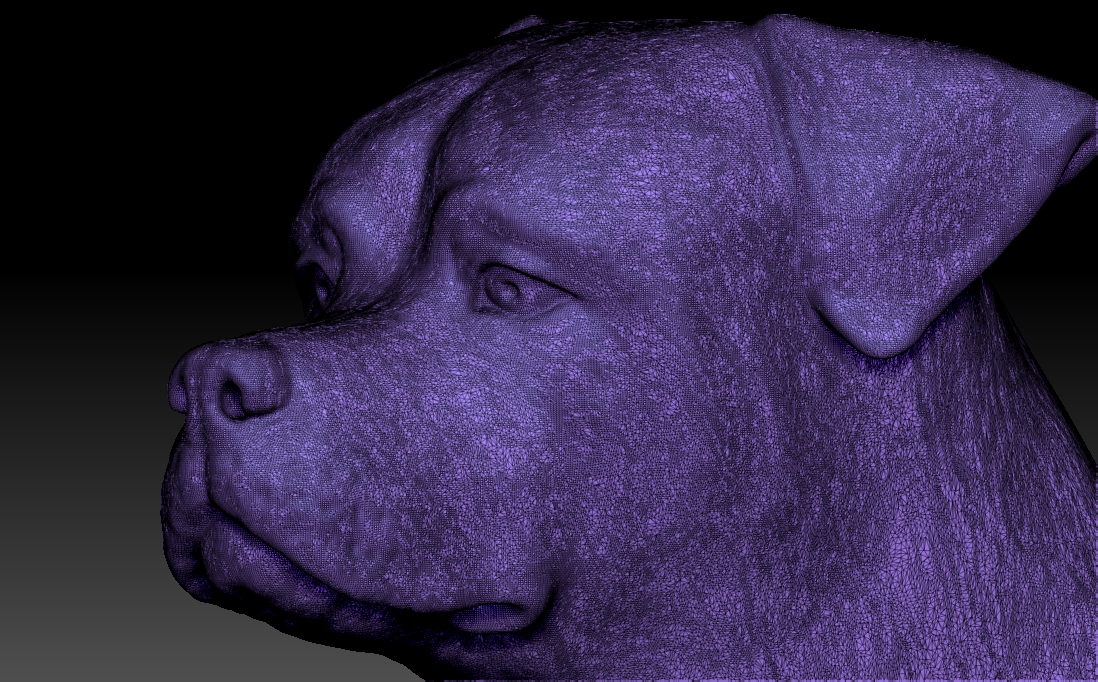 3D file Rottweiler head for 3D printing 🐂・3D printing template to ...