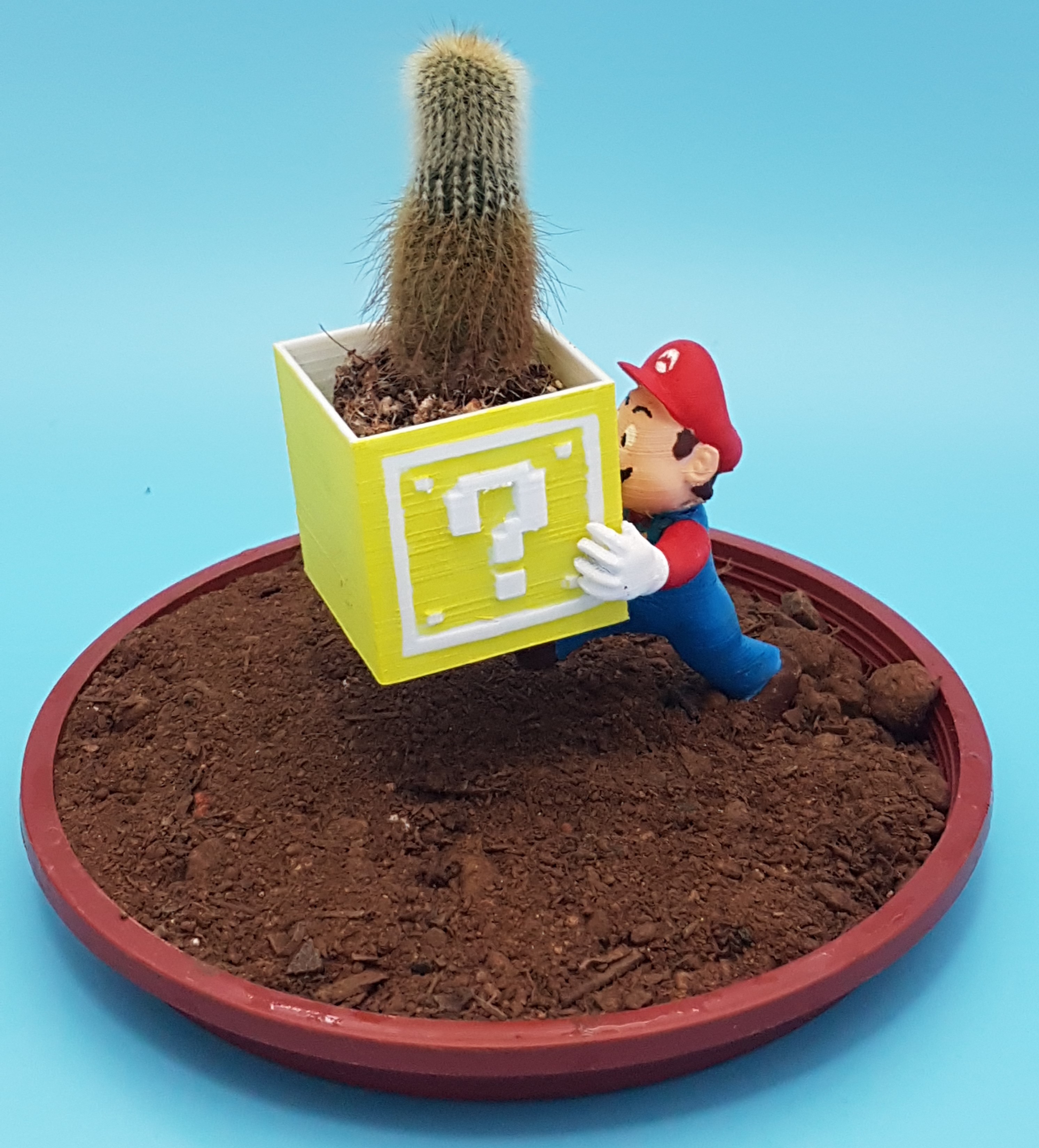 Fichier STL Mario Pot 🪴 ・Plan à imprimer en 3D à télécharger・Cults