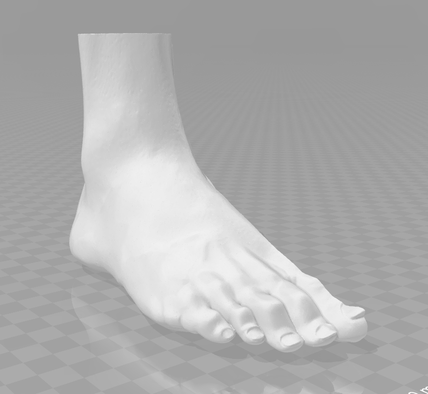 STL file Anatomic foot 🦶 ・3D printing template to download・Cults