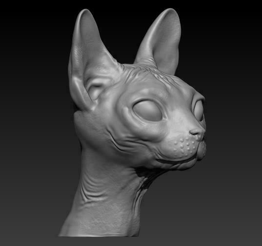 STL file cat sphynx 🐱 ・Template to download and 3D print・Cults