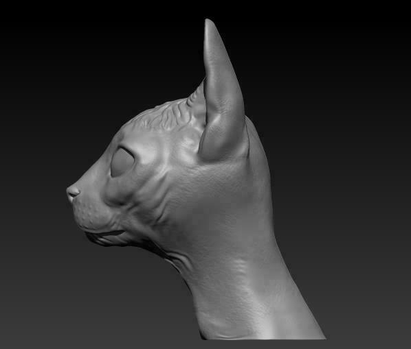 STL file cat sphynx 🐱 ・Template to download and 3D print・Cults