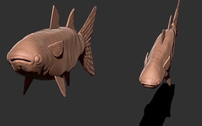 🐠 LISA FISH・ STL File for ・Cults