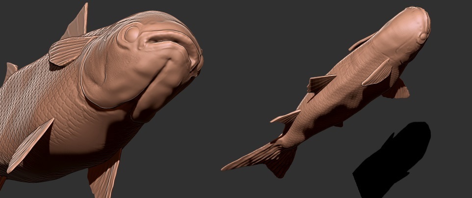 🐠 LISA FISH・ STL File for ・Cults