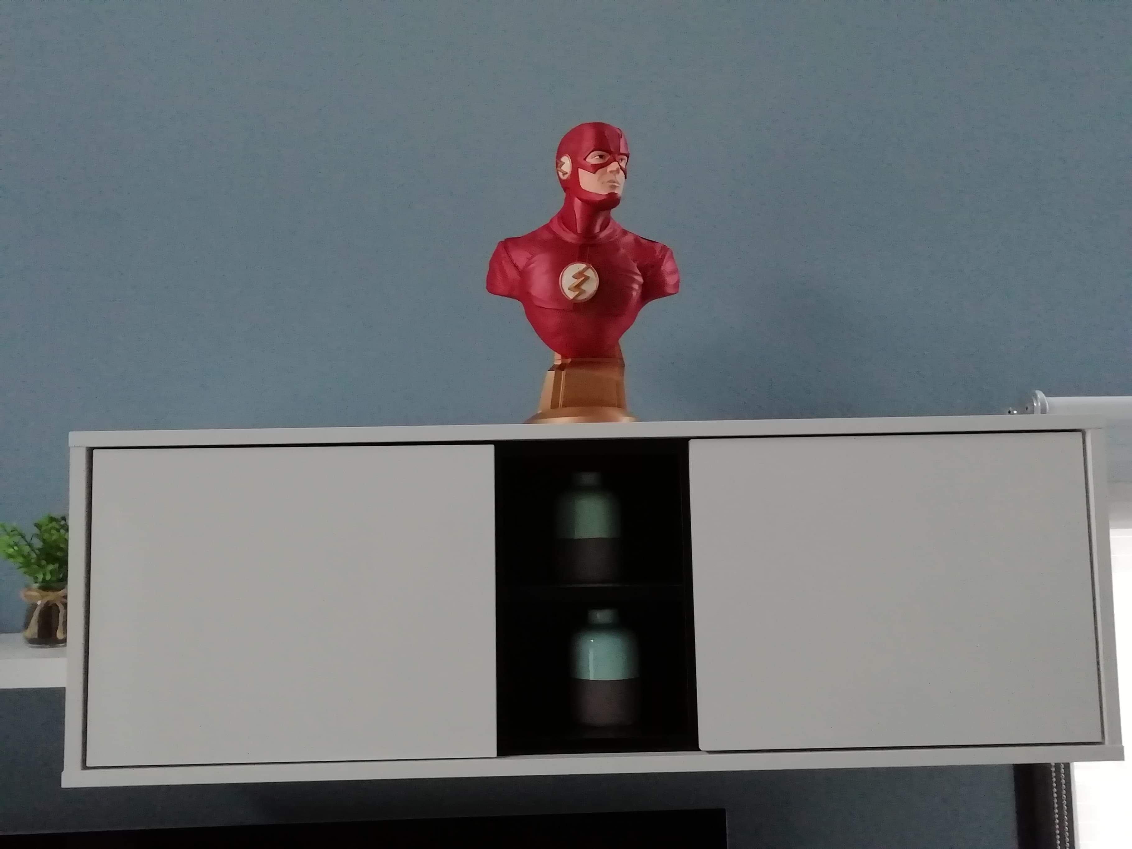 3D printing Flash Bust • made with Ender 3 pro・Cults