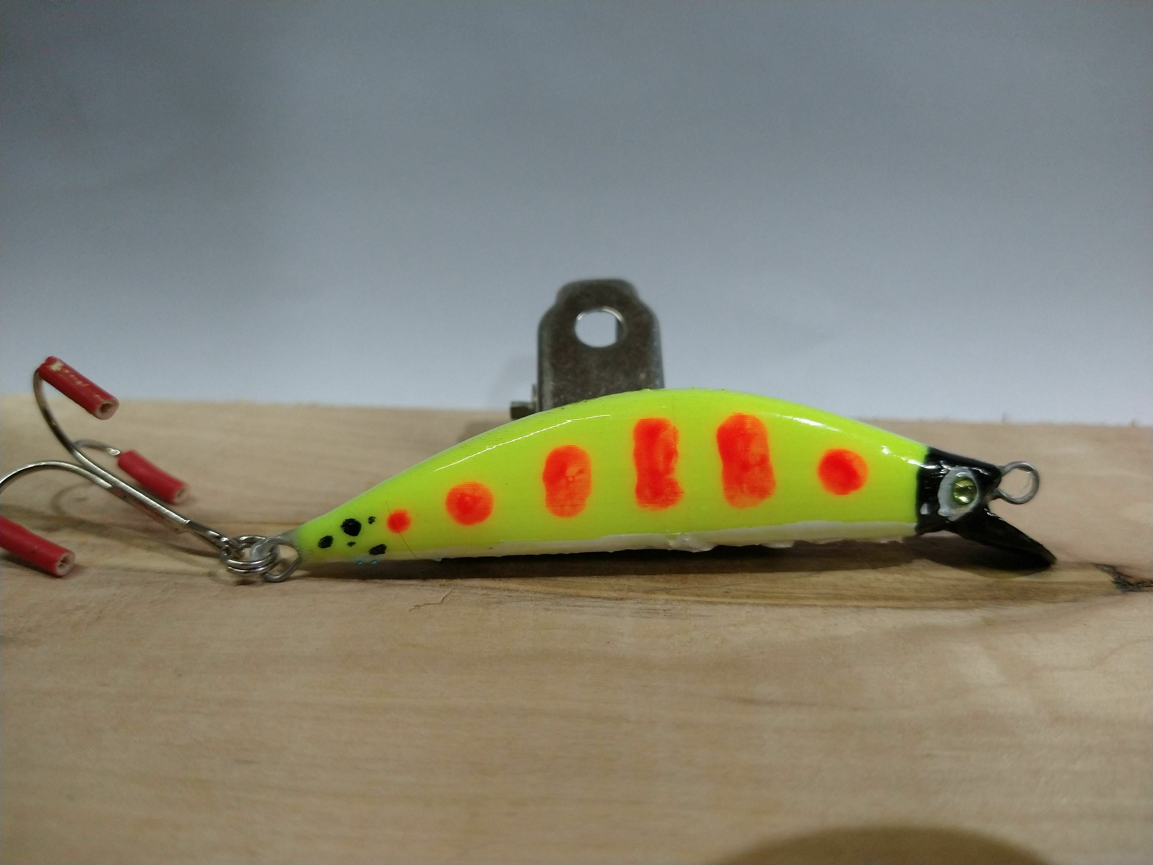 🖼️ lure painting template salmon-1・ STL File for ・Cults