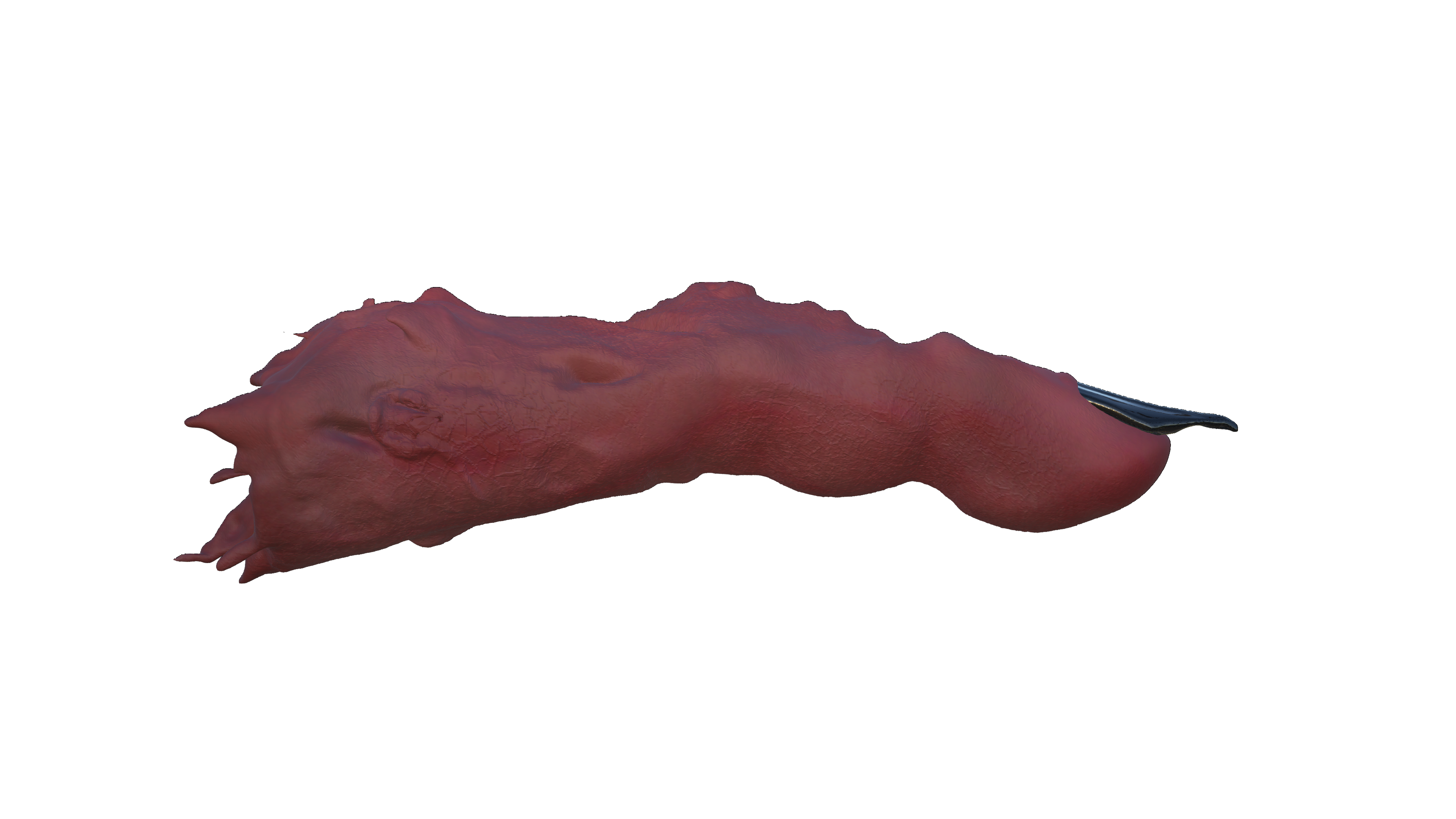 STL file Sukuna Ryoumen Finger - Jujutsu Kaisen 💬 (OBJ)・Model to ...