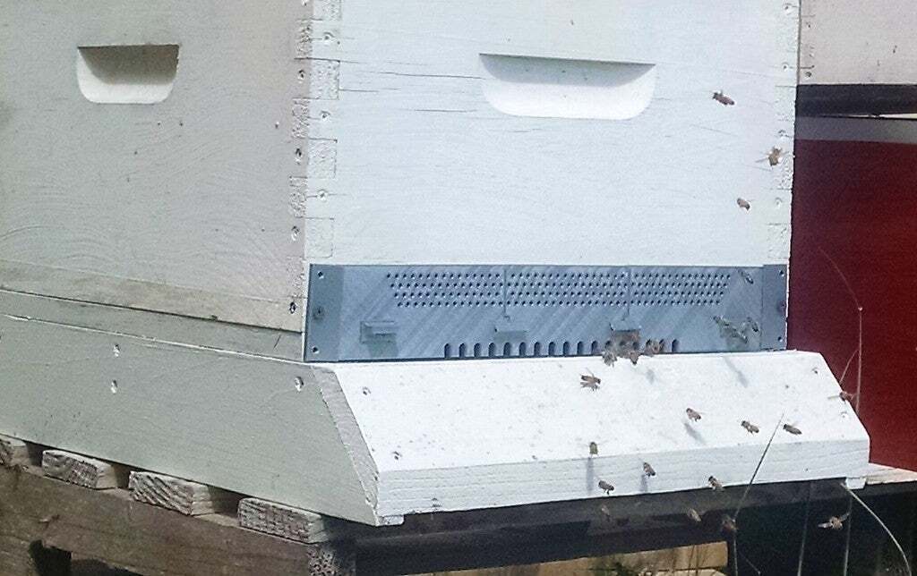 💂 Beehive Entrance Reducer/Mouse Guard・Free STL File for ・Cults