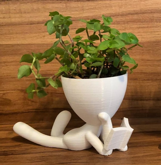 🌿 Robert Plant Vase Reading With Drain・Free STL File for ・Cults
