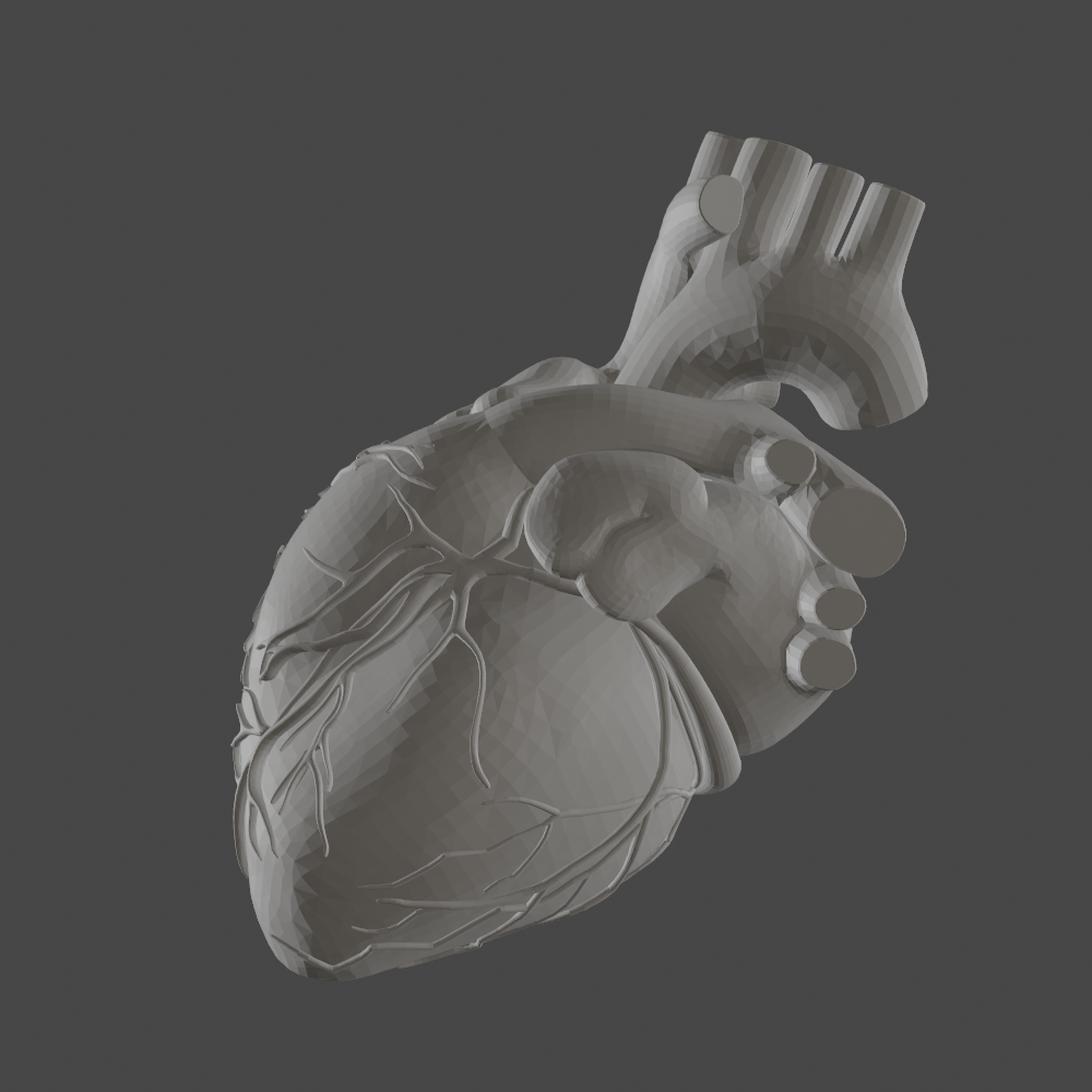 STL file Human heart low poly 💜 ・3D printer model to download・Cults