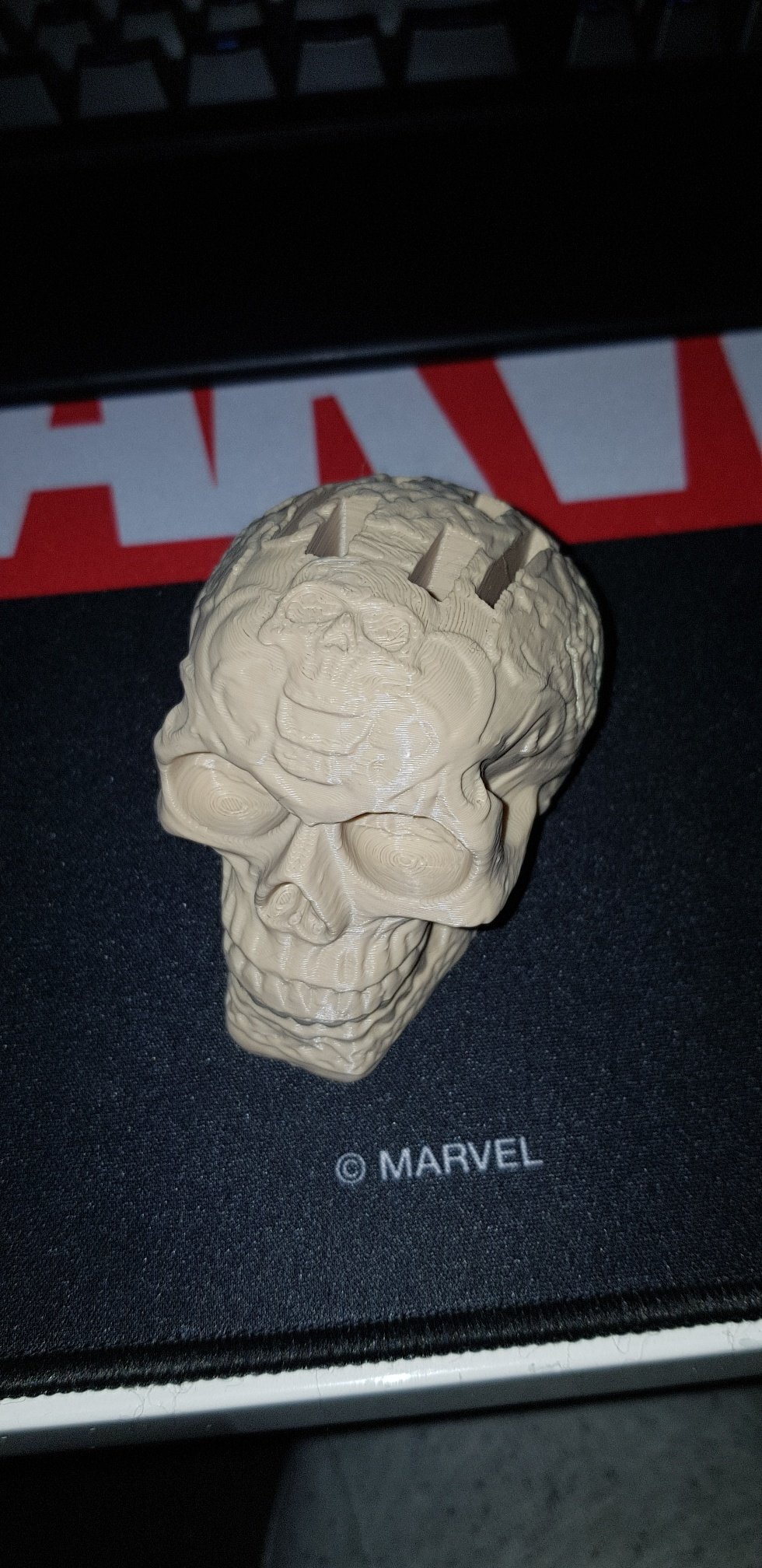 💀 Celtic Skull USB | SD | Micro SD Card Holder・3D Print・Cults