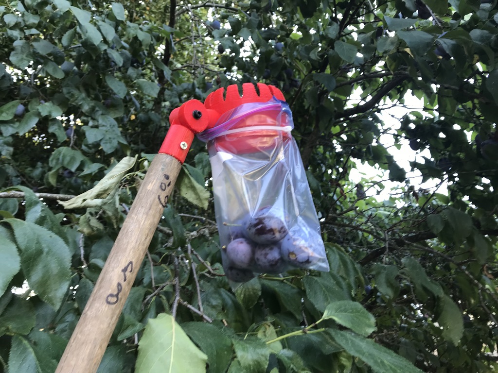 3D printing Fruit Picker・Cults