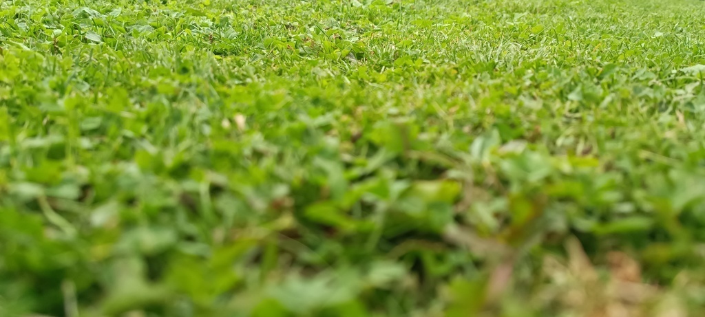 🌳 Plateau de coupe à 8 lames pour LUBA 2 Mammotion - 8-blade cutting ...
