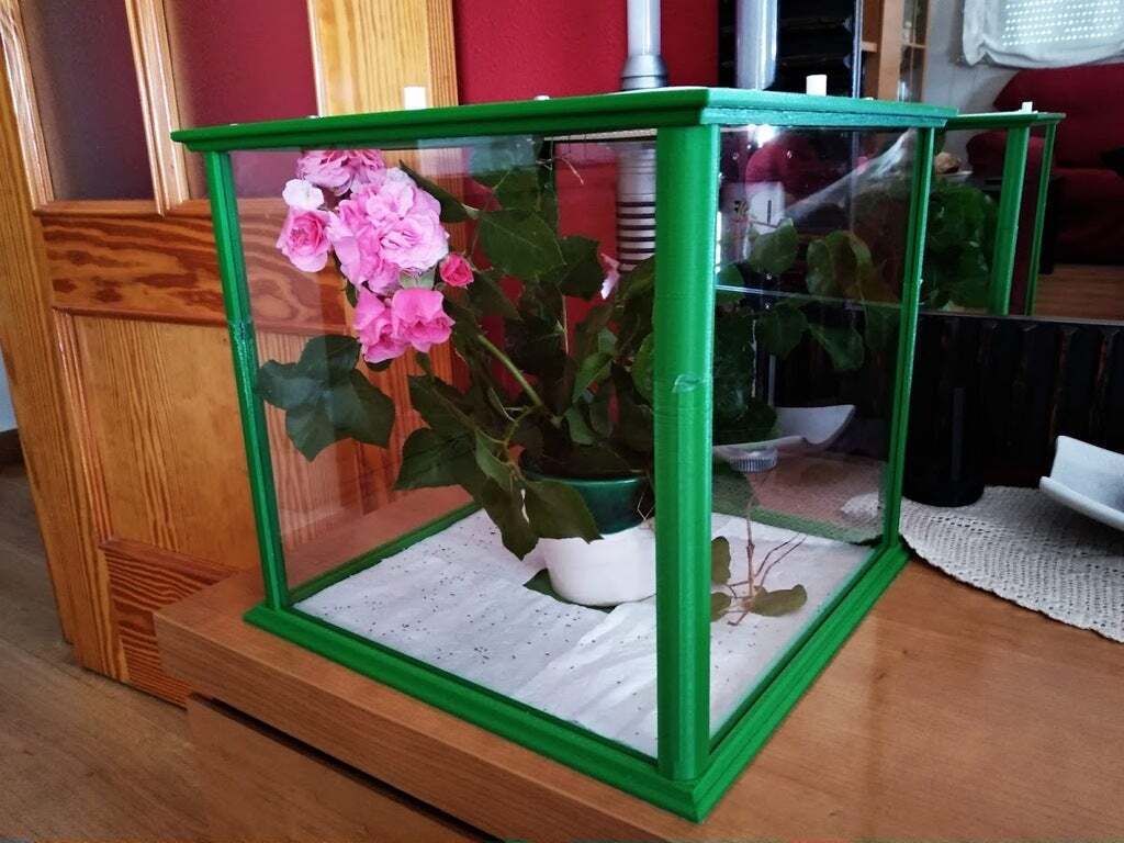 🐾 Insect Terrarium・Free STL File for ・Cults