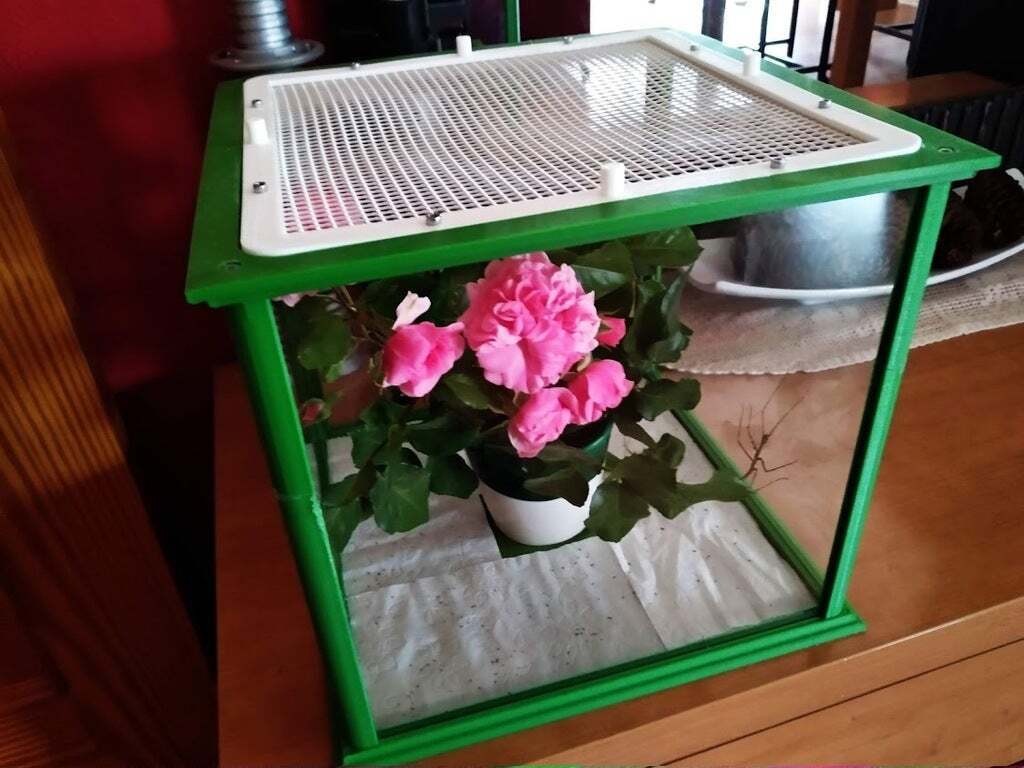 🐾 Insect Terrarium・Free STL File for ・Cults