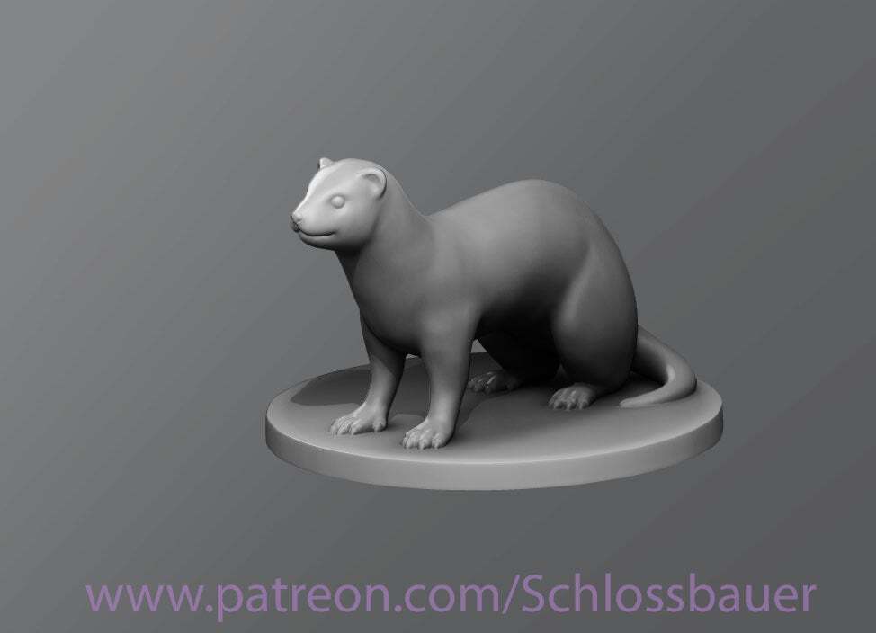 Free STL file Ferret 🎲 ・3D print design to download・Cults