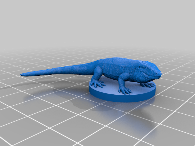 🦎 Tegu・Free 3D File for ・Cults