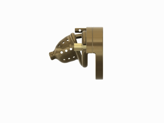 STL file Male Chastity Device Cock Cage Penis Ring Virginity Lock ...