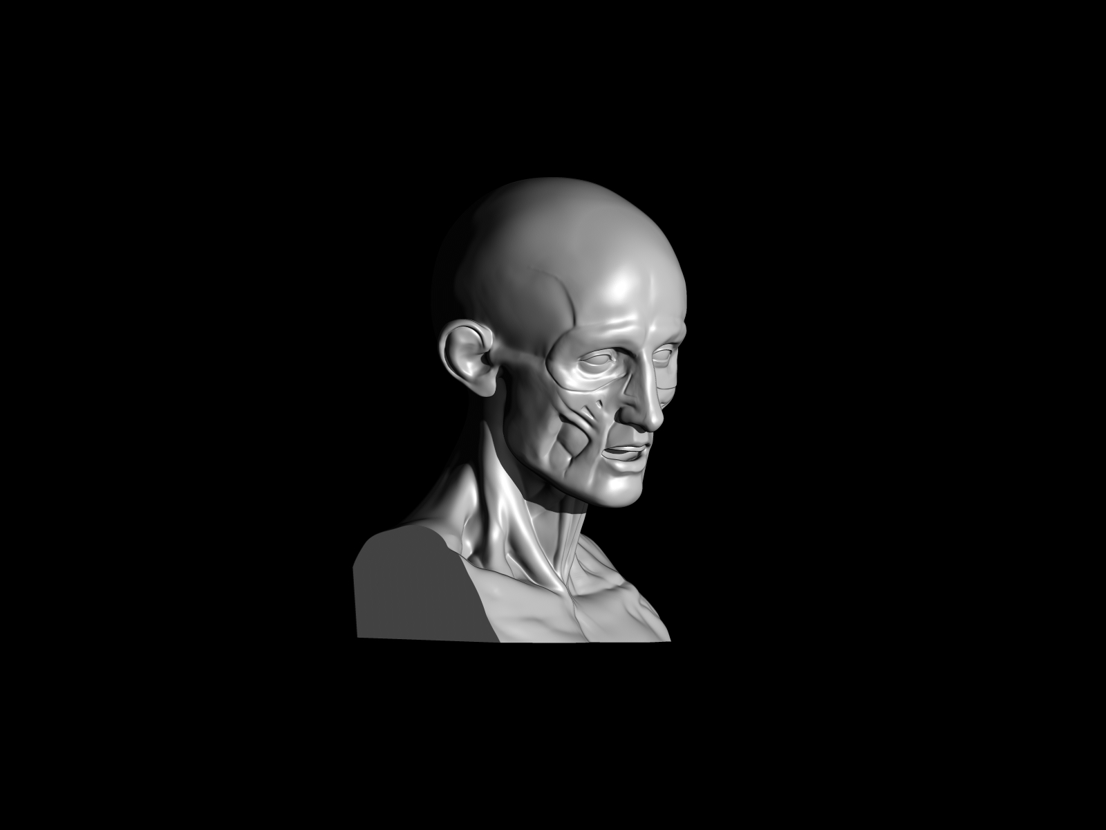 Файл STL Houdon Ecorche Head (Écorché) 🧑‍🏫 (OBJ)・Дизайн 3D принтера для ...