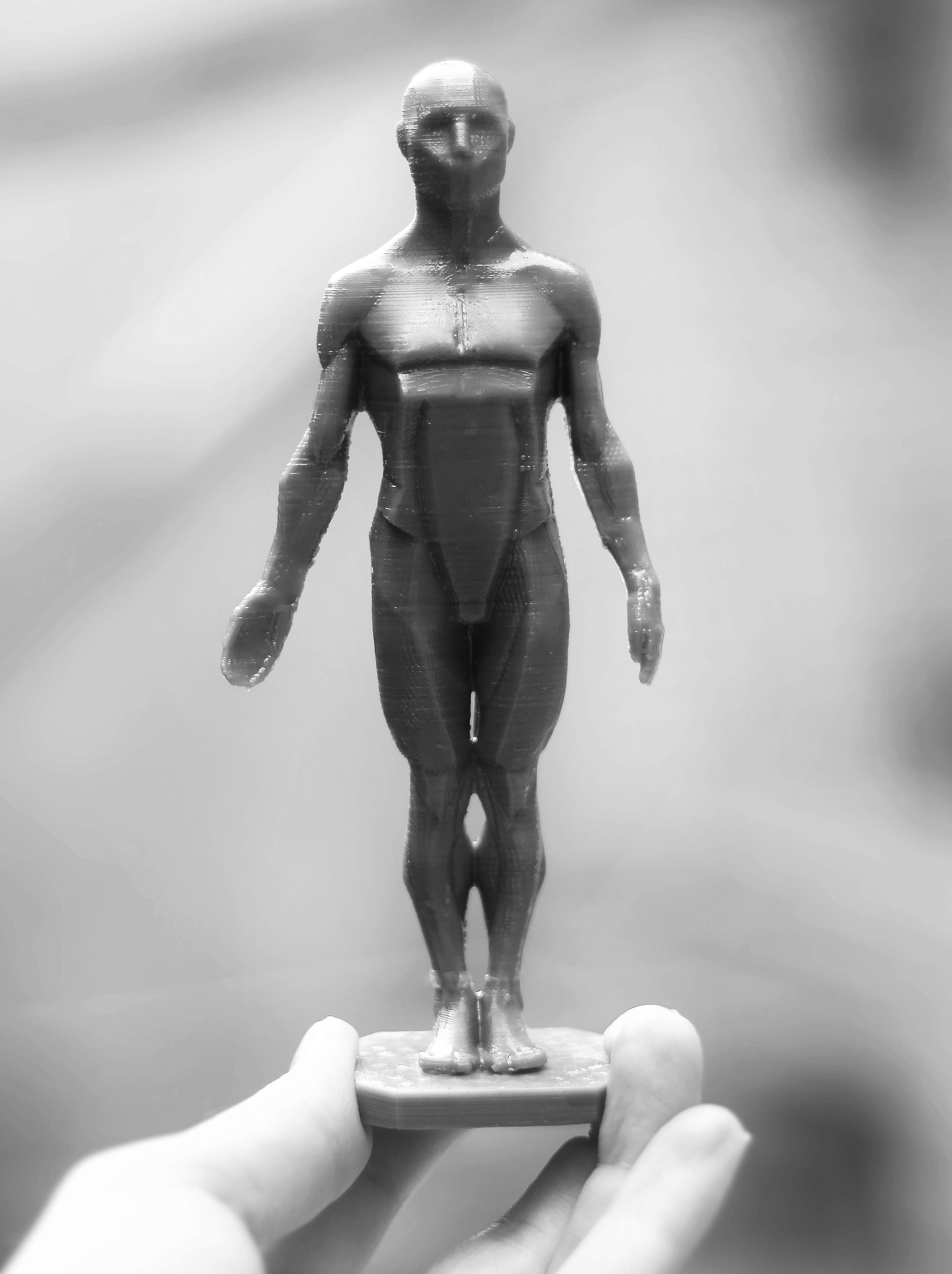3D printed Male Planes of the Body - John Asaro • made with Prusa i3 ...