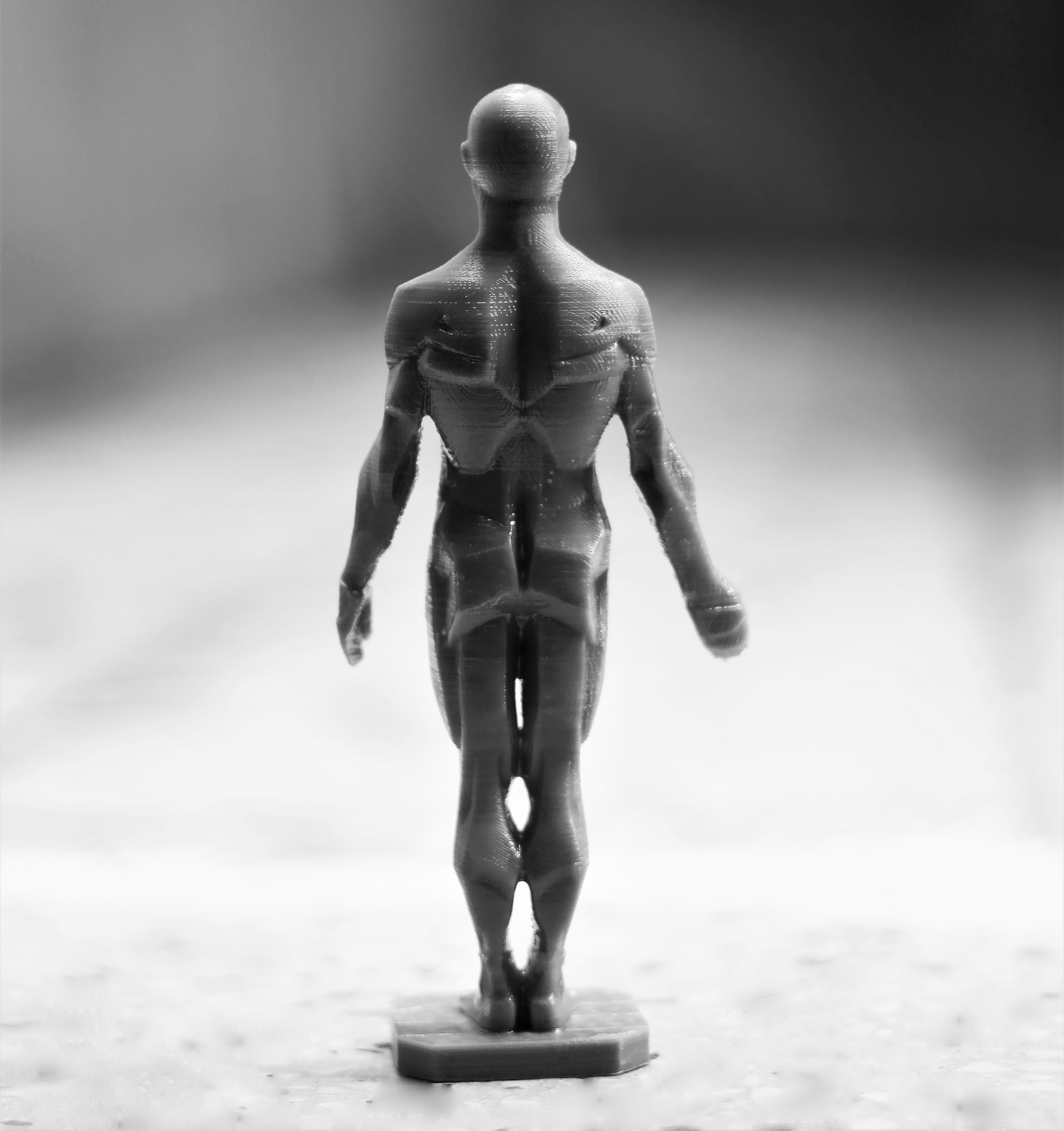 3D printed Male Planes of the Body - John Asaro • made with Prusa i3 ...