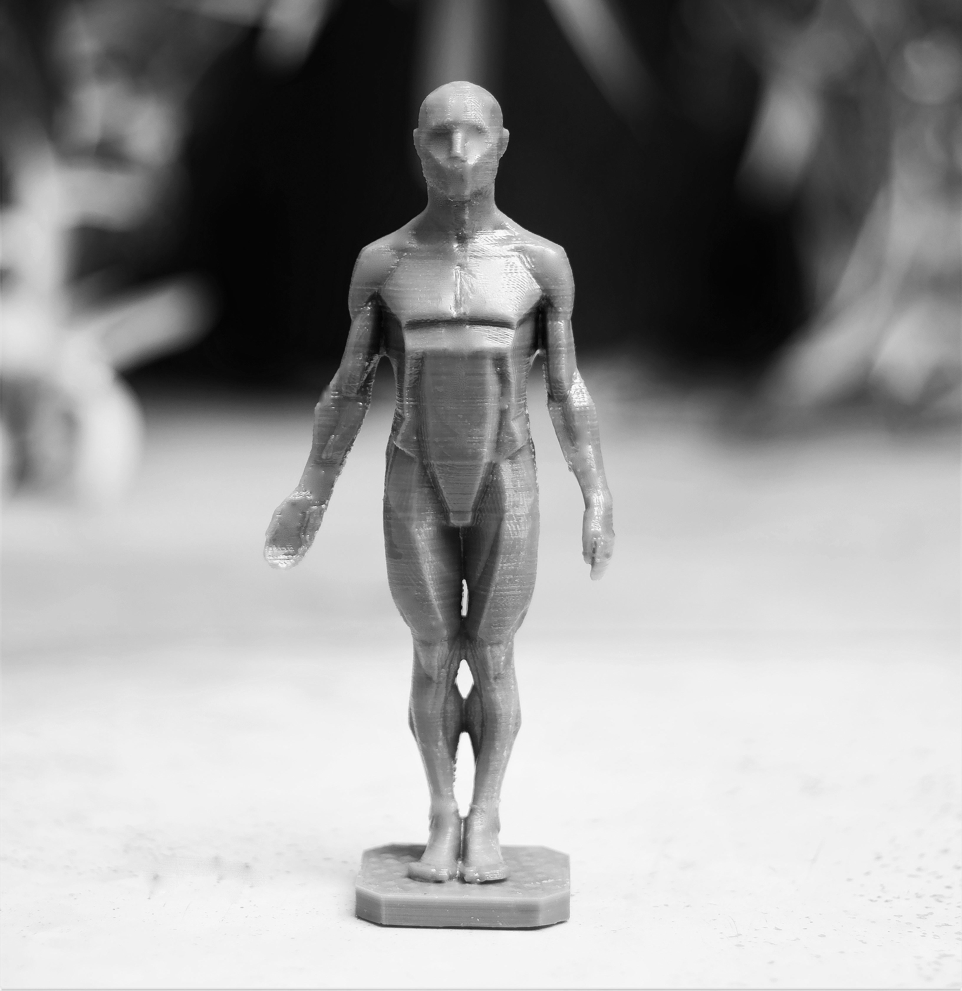 3D printed Male Planes of the Body - John Asaro • made with Prusa i3 ...