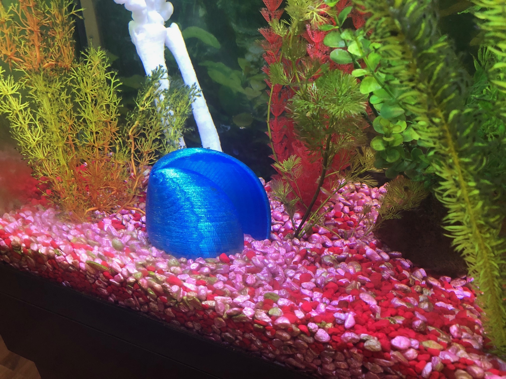 3D print shell shape shade・Cults