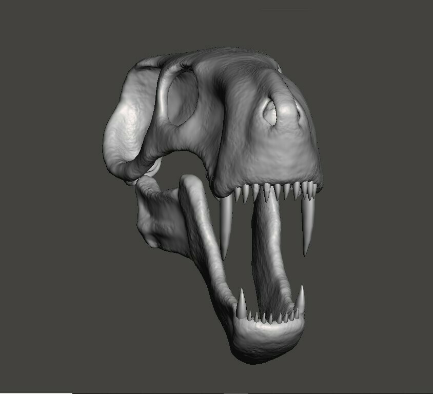 🦖 Dinosaur skull, Inostrancevia cranium and jaw・ STL File for ・Cults