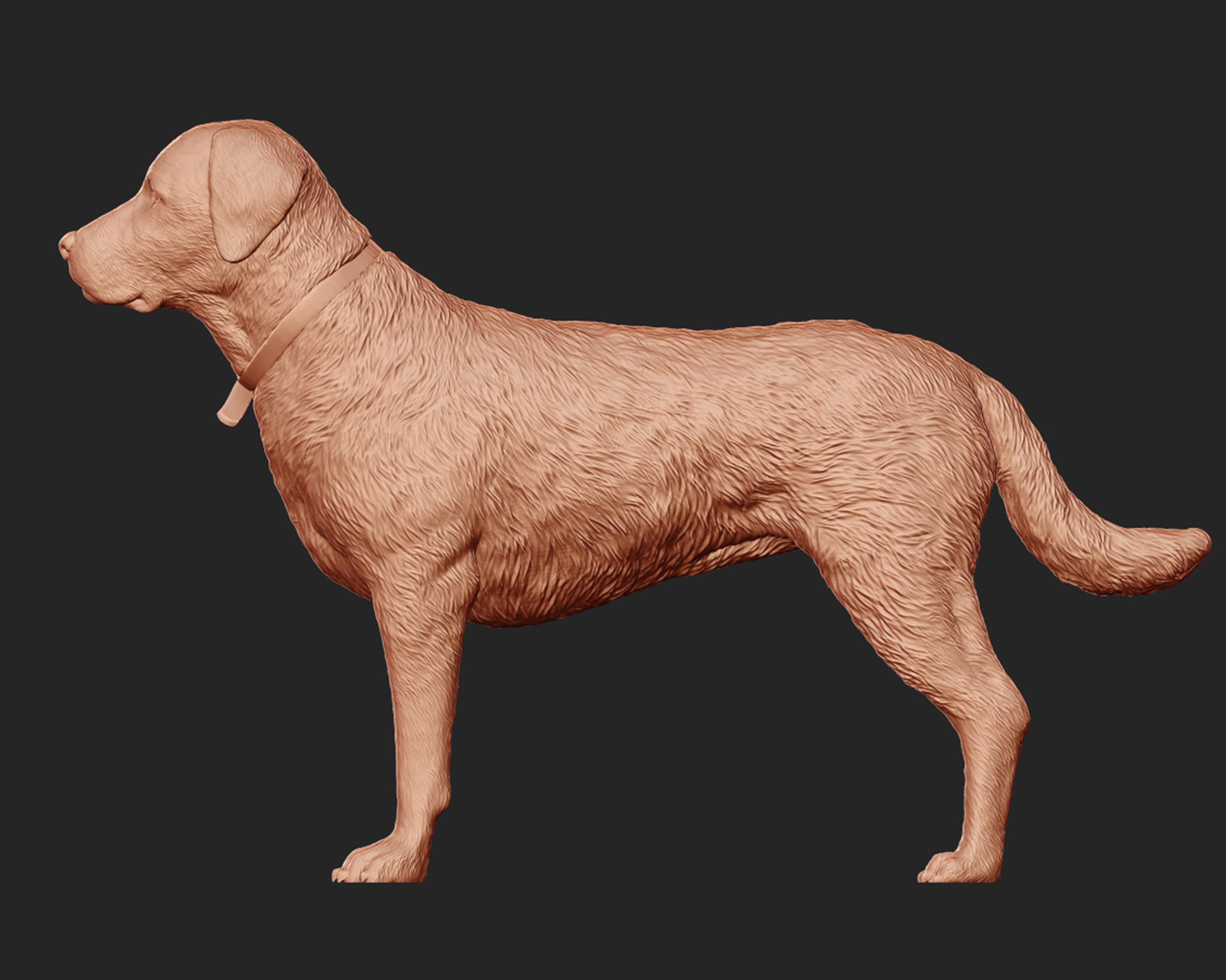 STL file Labrador Retriever model 3D print model 🗿 (OBJ)・3D printing ...