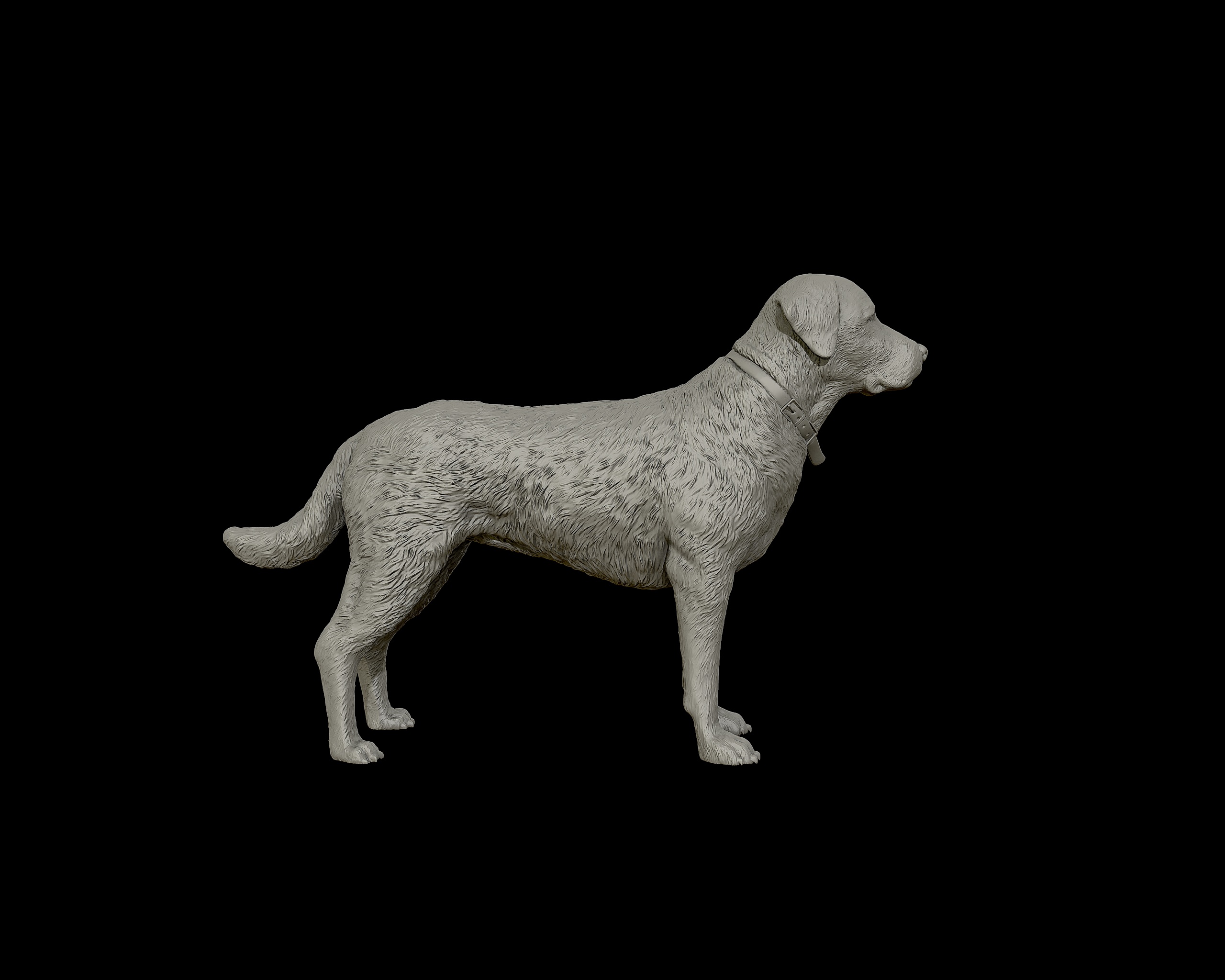 STL file Labrador Retriever model 3D print model 🗿 (OBJ)・3D printing ...
