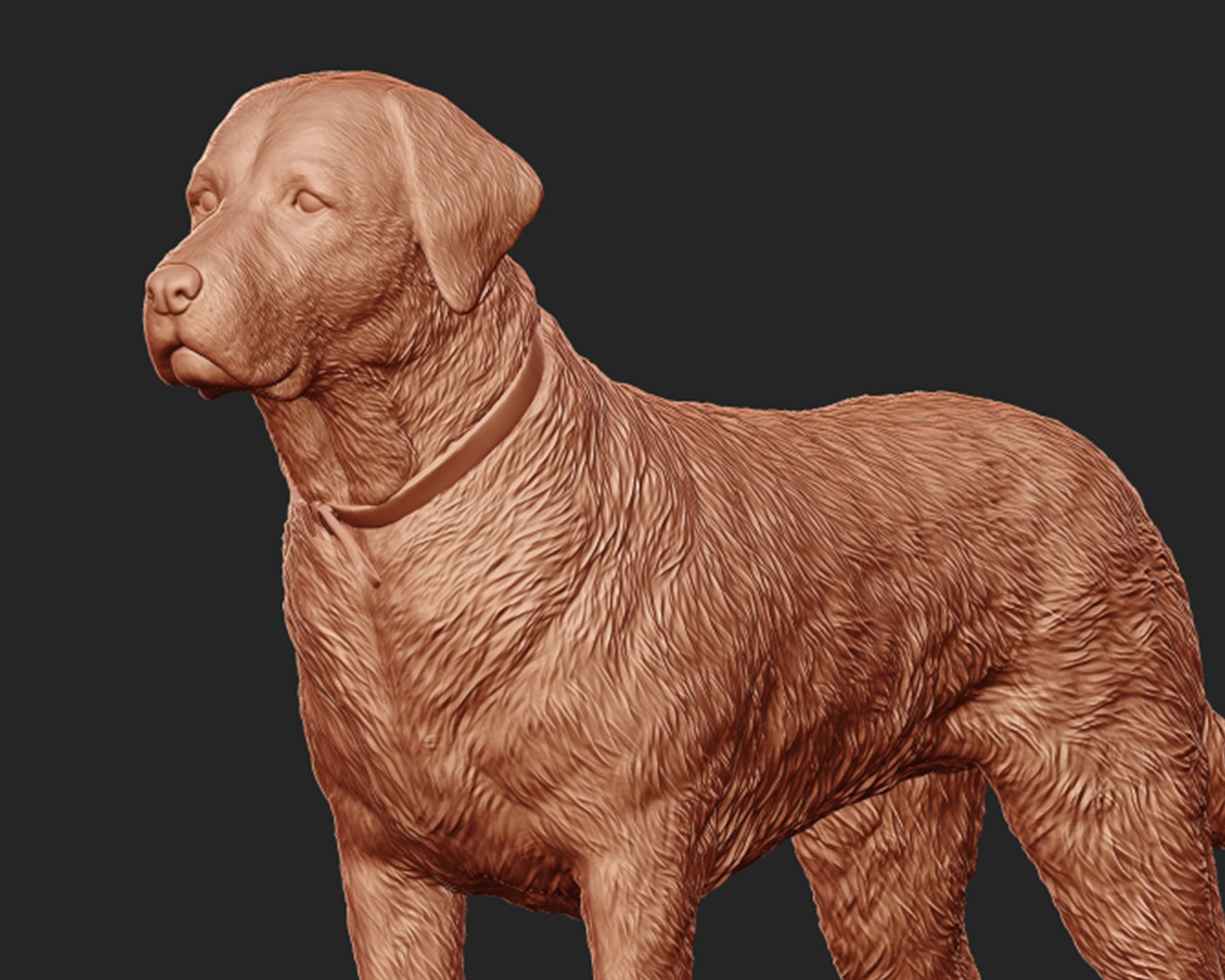 STL file Labrador Retriever model 3D print model 🗿 (OBJ)・3D printing ...