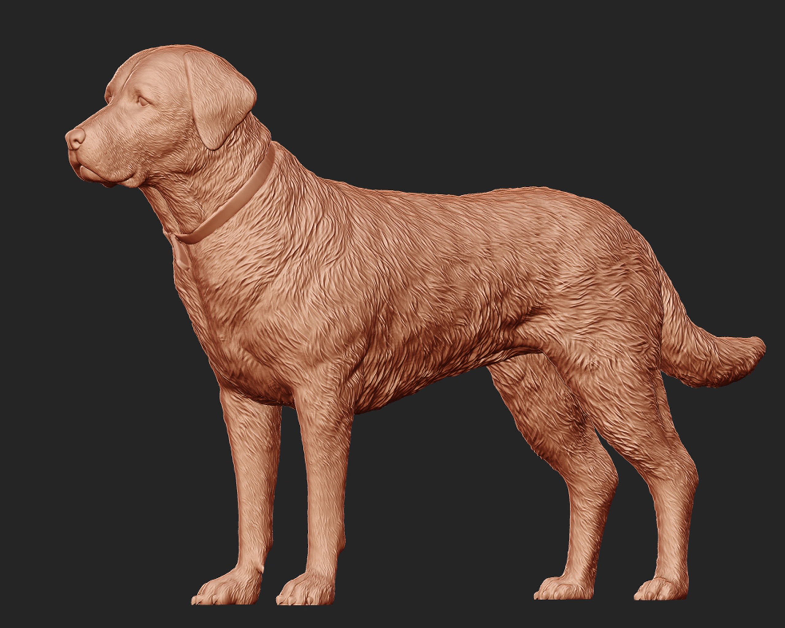STL file Labrador Retriever model 3D print model 🗿 (OBJ)・3D printing ...