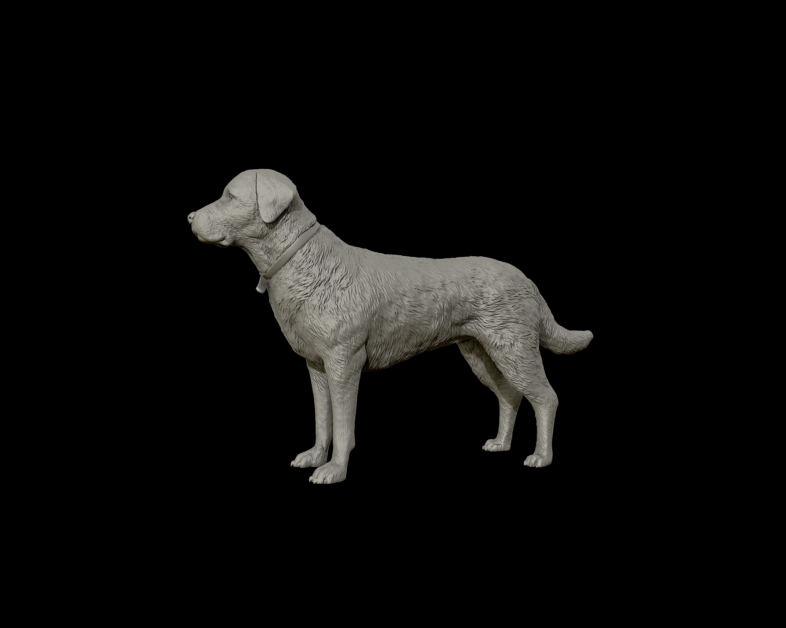 STL file Labrador Retriever model 3D print model 🗿 (OBJ)・3D printing ...