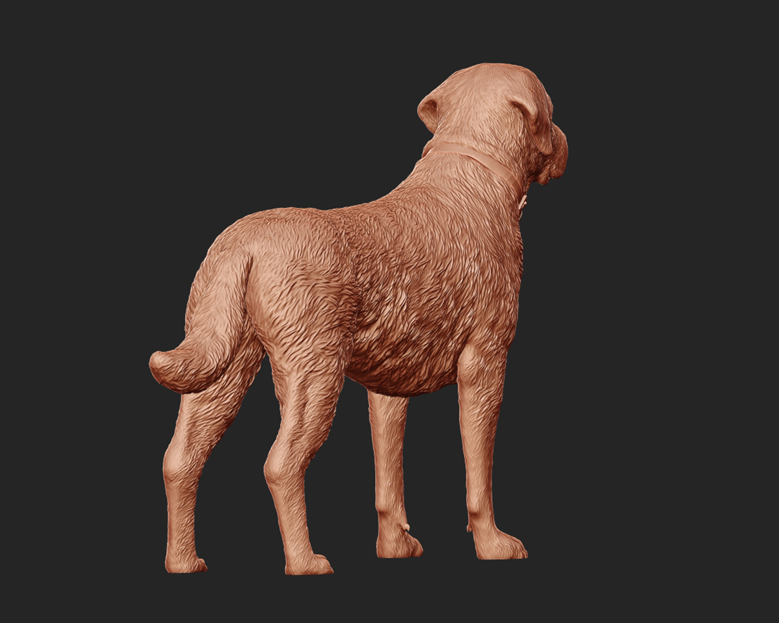STL file Labrador Retriever model 3D print model 🗿 (OBJ)・3D printing ...