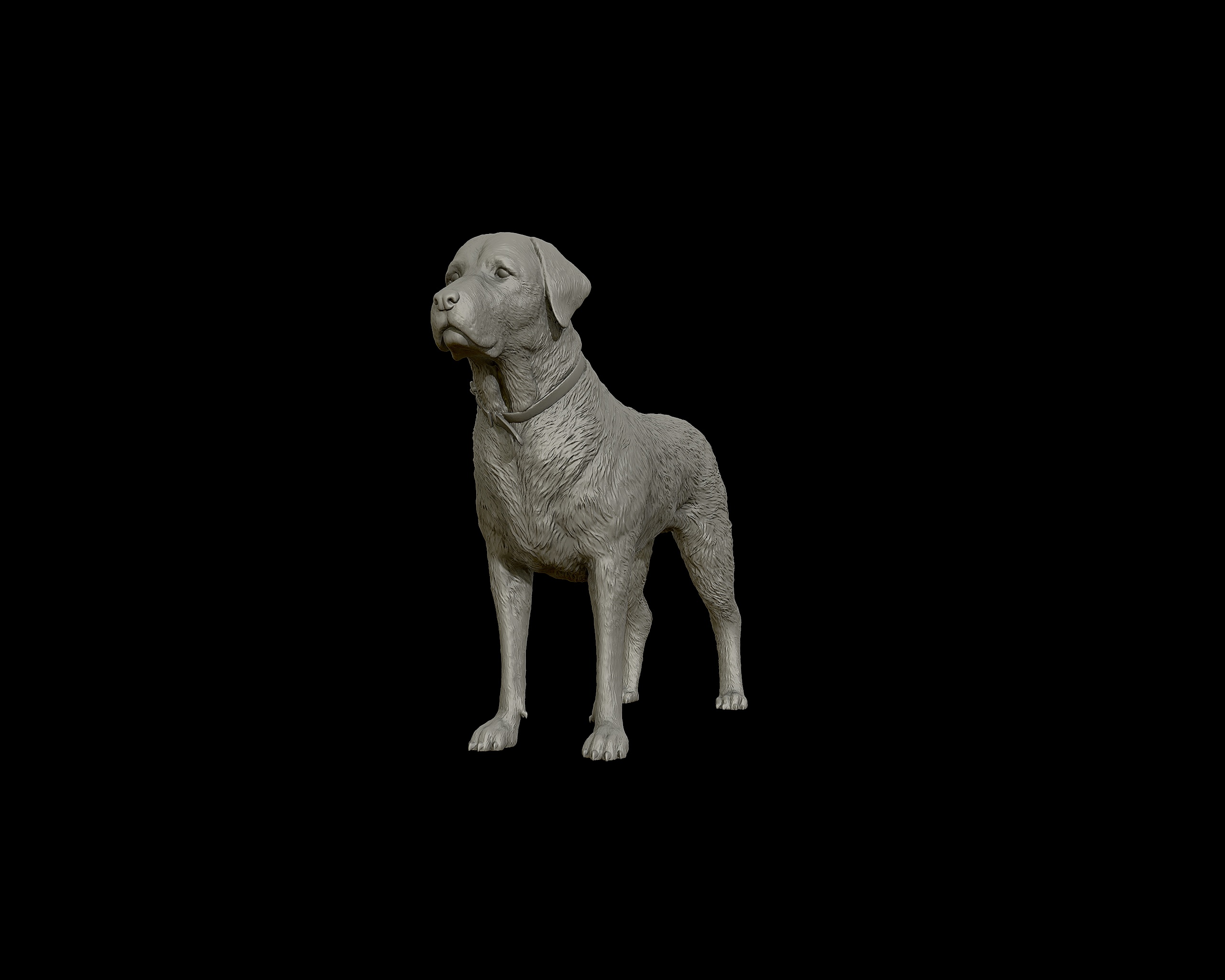 STL file Labrador Retriever model 3D print model 🗿 (OBJ)・3D printing ...